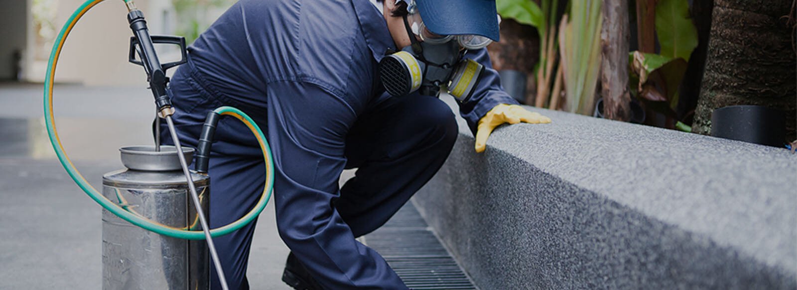 Quality Pest Control – Winnipeg’s Premier Pest Control Company